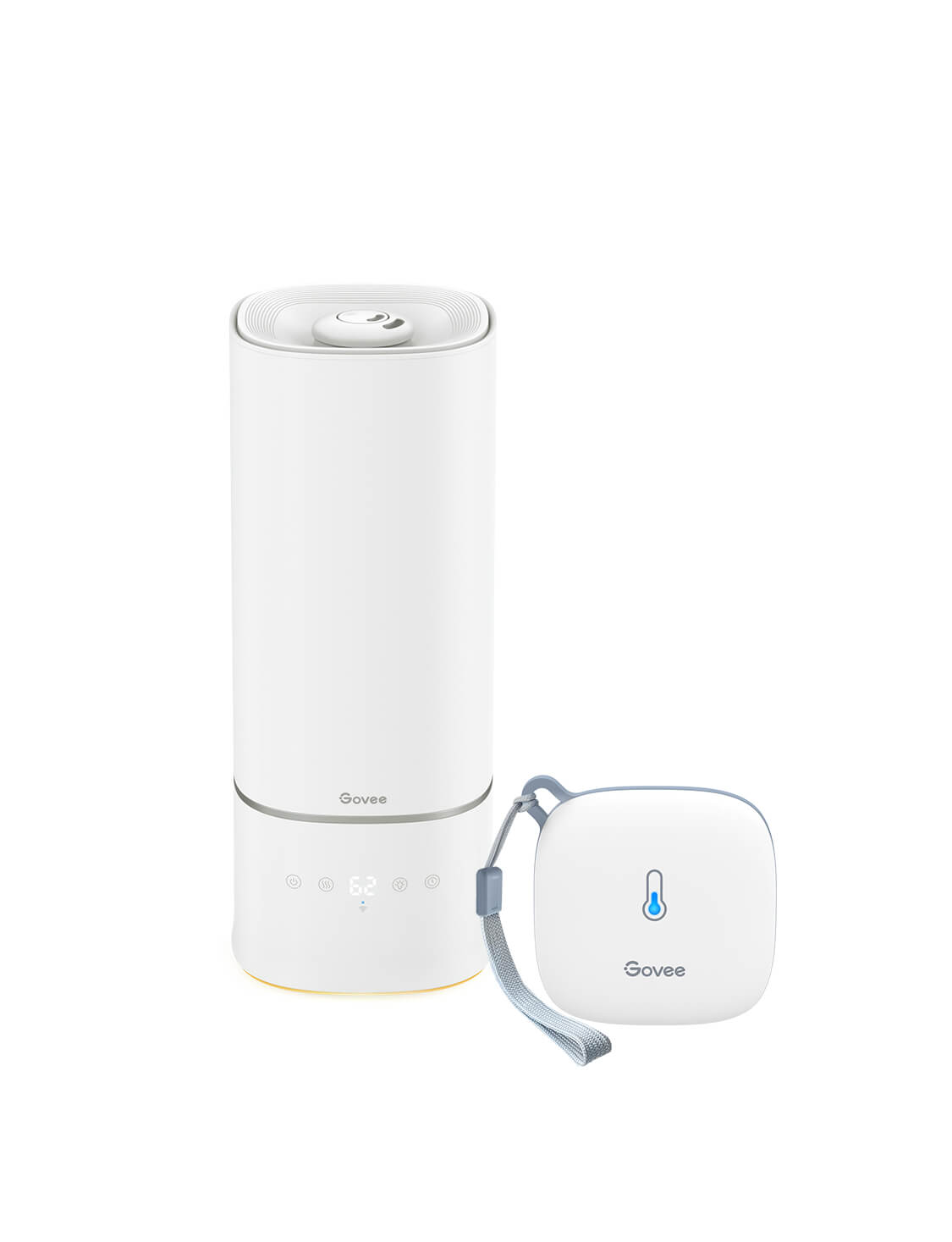 Shop at Govee! You will love it here!